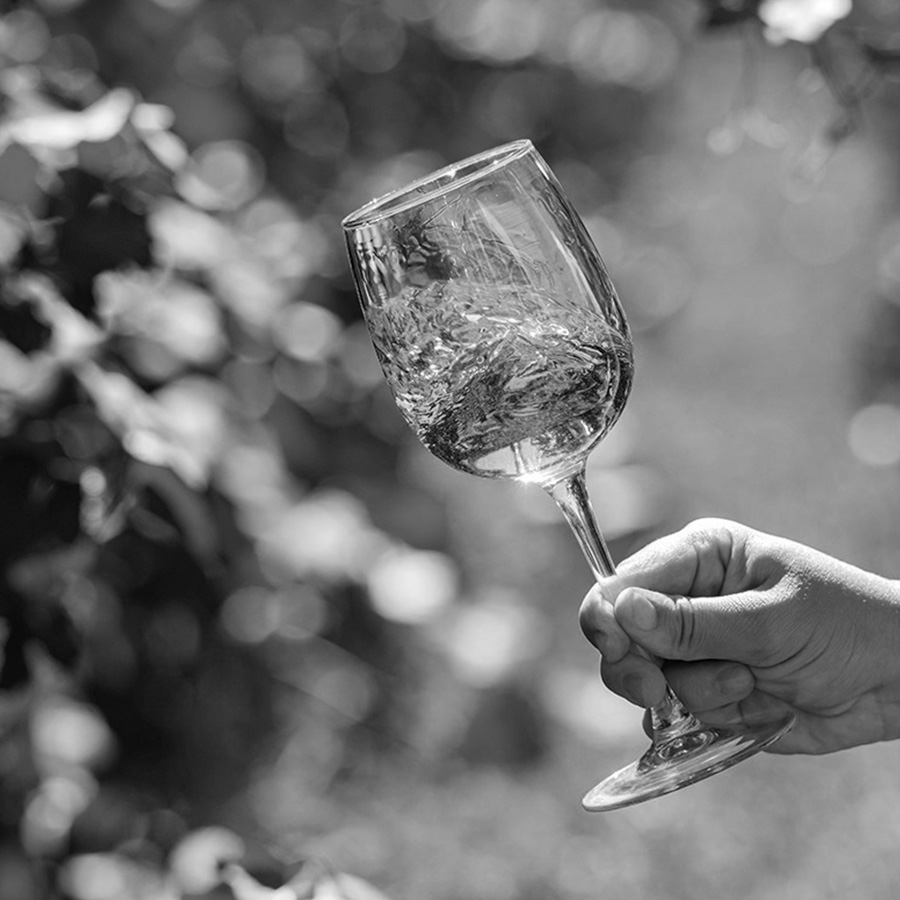 1838 Wines
